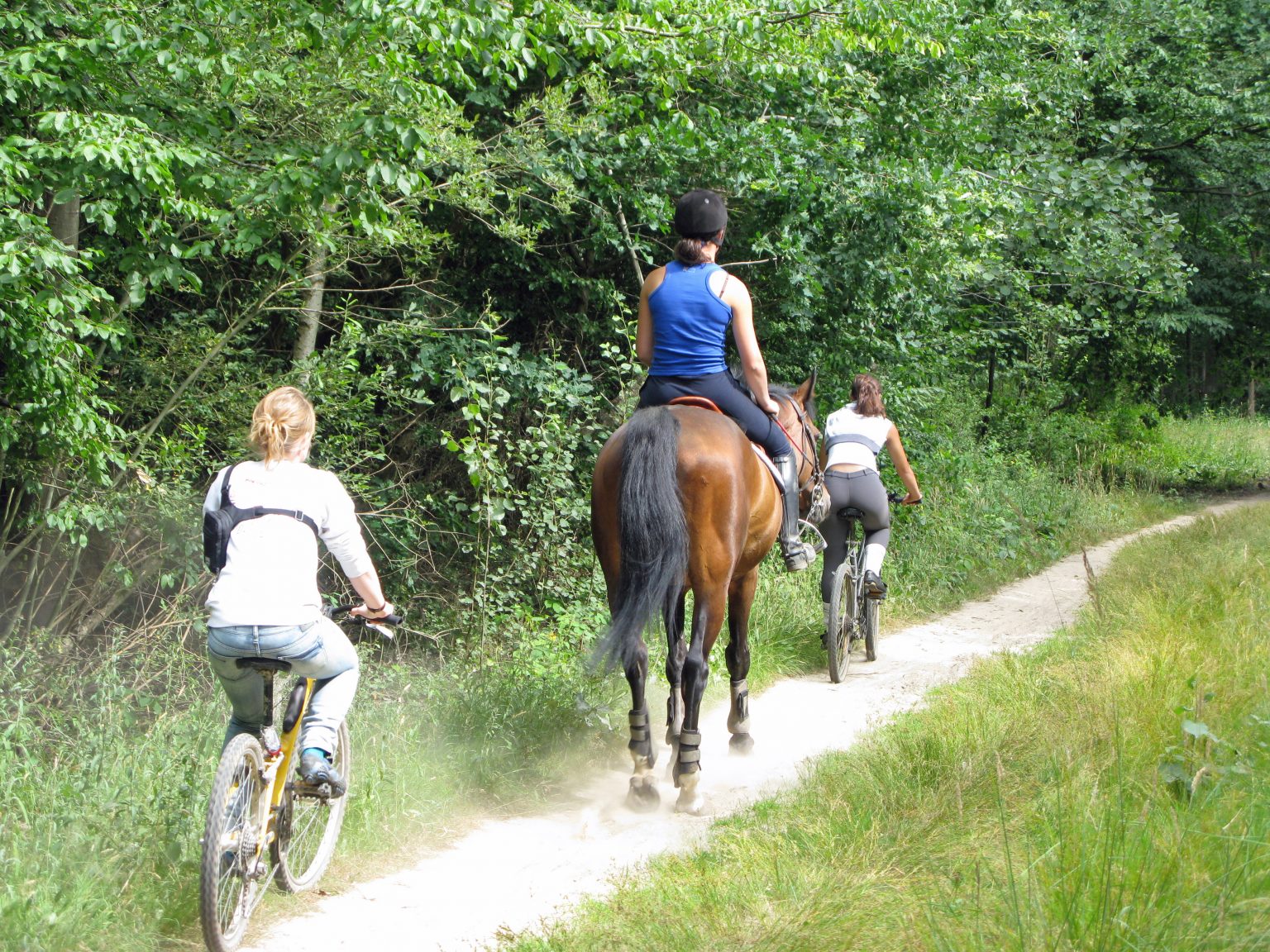Ride & Run / Ride & Bike - AGM équitation